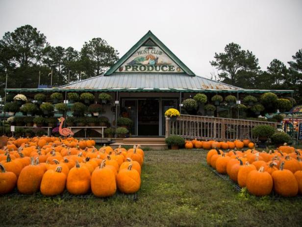 6 Reasons You Must Visit Virginia Beach This Fall | Sponsored | Travel ...