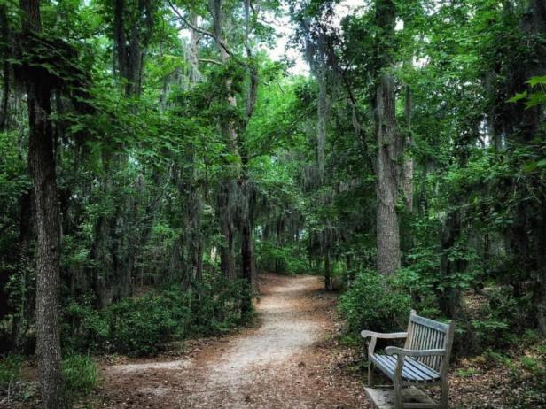 Experience Virginia Beach's Hiking Trails | Sponsored | Travel Channel