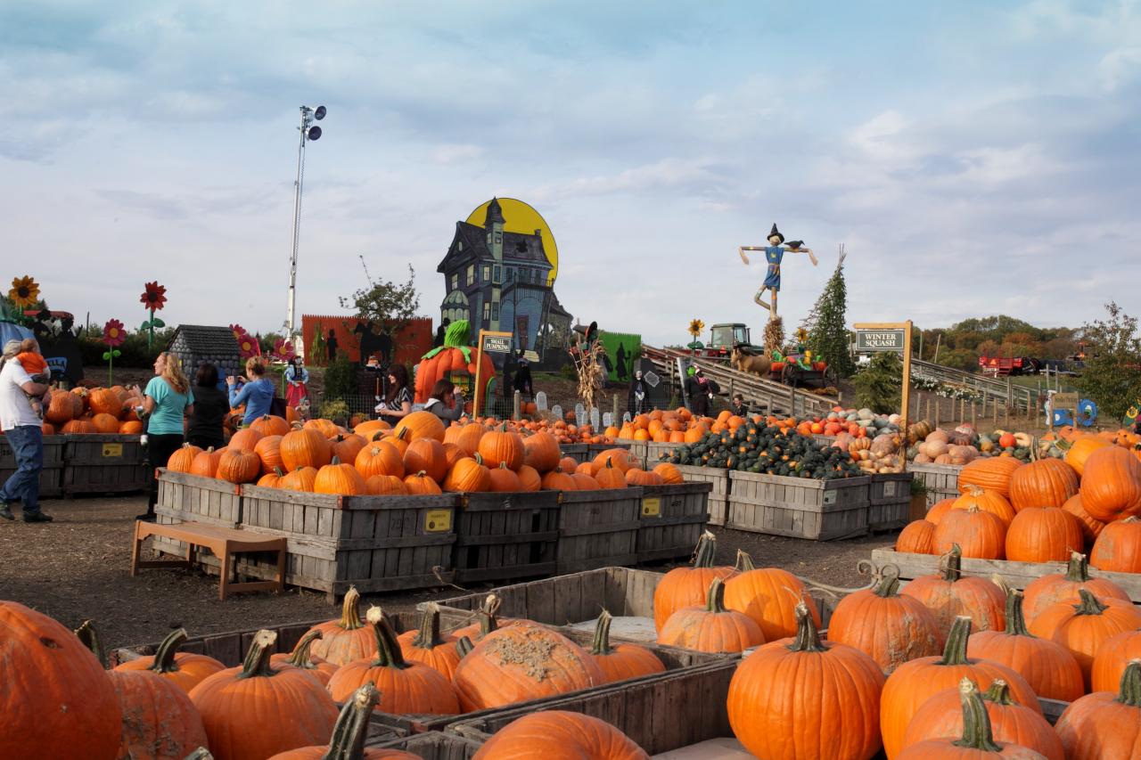 Haunted Pumpkin Patch Ideas