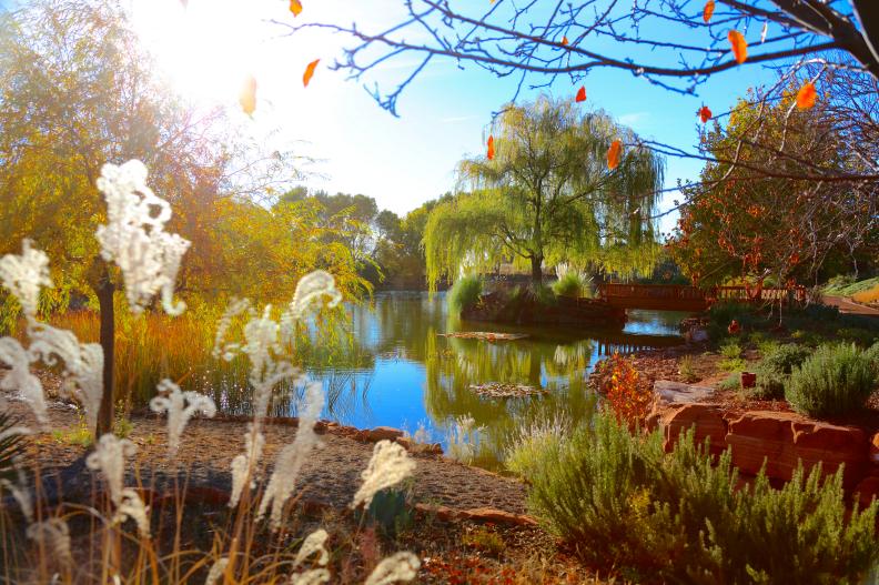 Best Yoga Retreats in America | HGTV