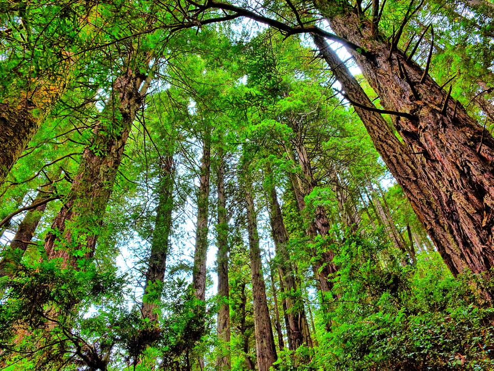 Top 10 Natural Wonders | Travel Channel